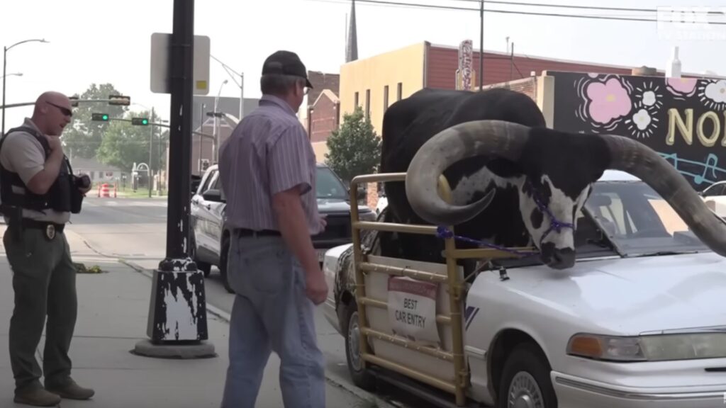 Nebraska Police Bust Bull For Riding Shotgun - The Auto Wire