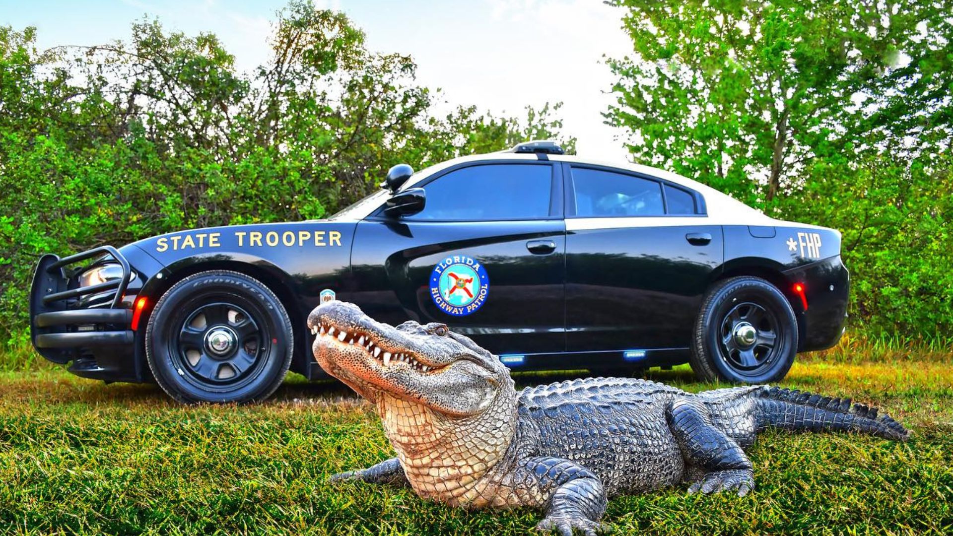 Florida Woman Busted For FHP Look-Alike Dodge Charger - The Auto Wire