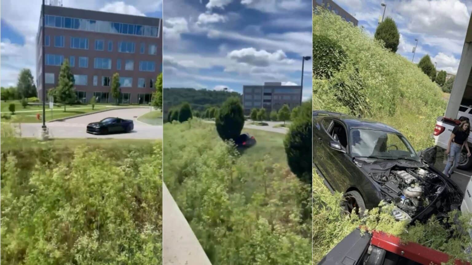 Watch A Ford Mustang Chop Down A Tree - The Auto Wire
